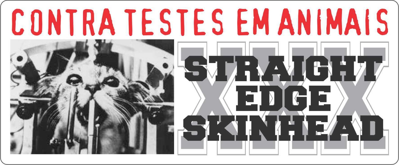 STRAIGHT EDGE SKINHEAD: STRAIGHT EDGE SKINHEAD STICKERS