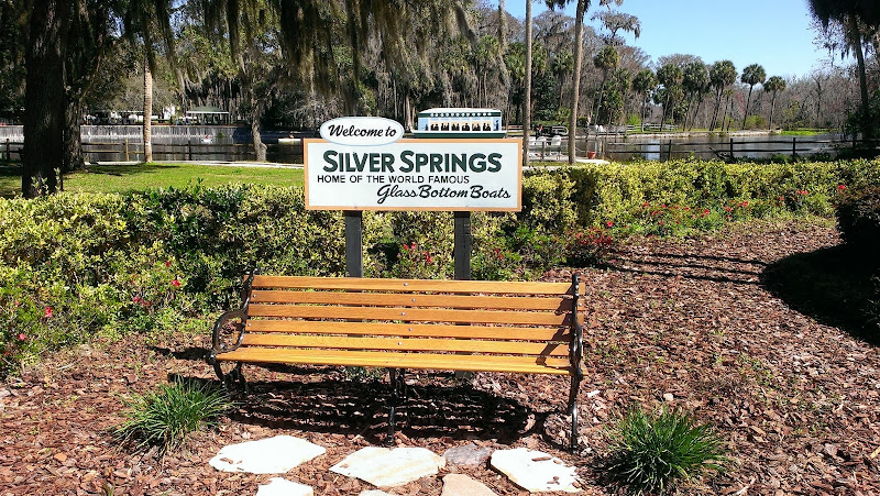 Another Day Trip – Silver Springs State Park – My Quantum Discovery
