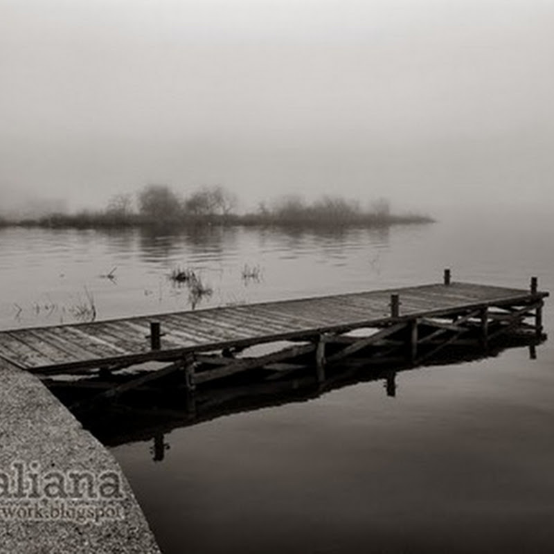 Ceata - Imagini fascinante - Inedit