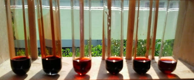 Membedakan ion Fe(II) dari ion Fe(III) ; Membandingkan Daya ...