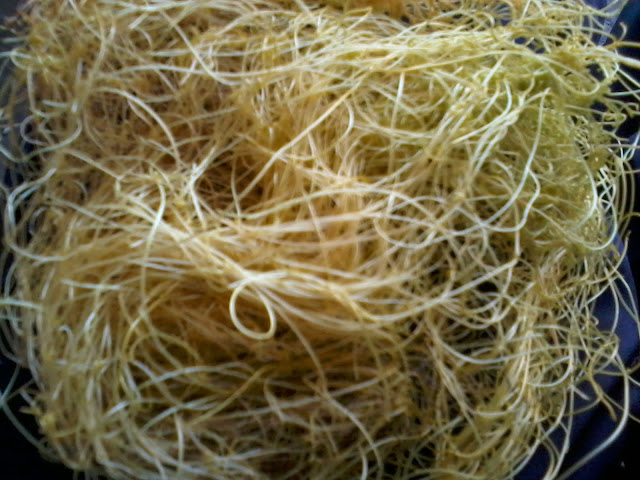 Matahari: MANFAAT TALI PUTRI