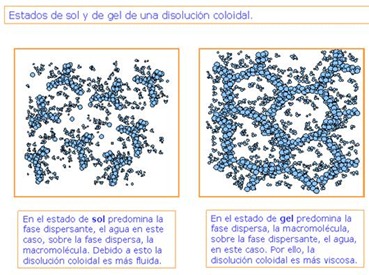 LA MATERIA VIVA COMO DISPERSIÓN COLOIDAL