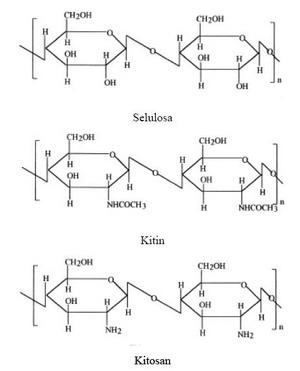 Apa itu Kitosan? - My Experience