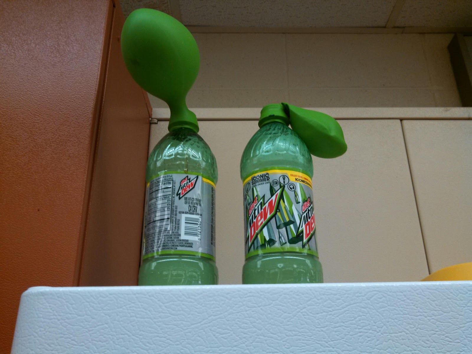 MzKaylaPinz: Yeast Balloon Blow Up to Demonstrate Bacteria Multiplying ...