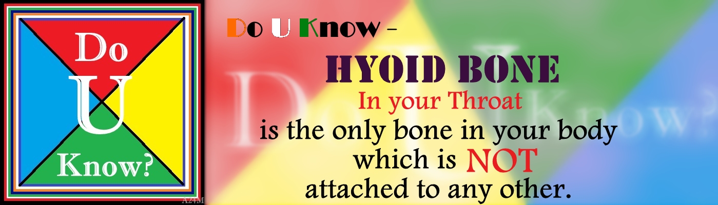 Bone That Not Connected To Other Bone Do You Know bone-that-not-connected-to-other-bone-do-you-know
