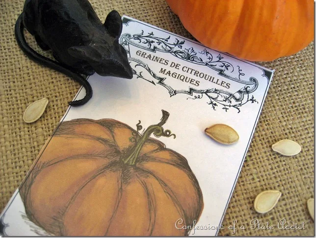 CONFESSIONS OF A PLATE ADDICT: Magic Pumpkin Seeds for You…from France!