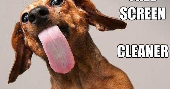 Top Dog Blog!: For Your Computer...