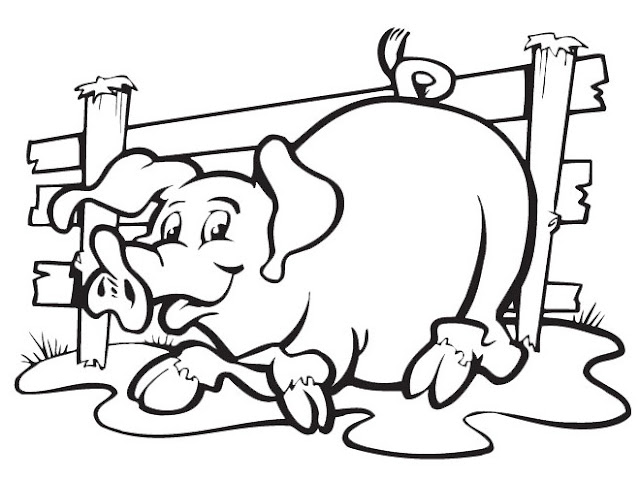 COLOREAR DIBUJOS DE CHANCHOS