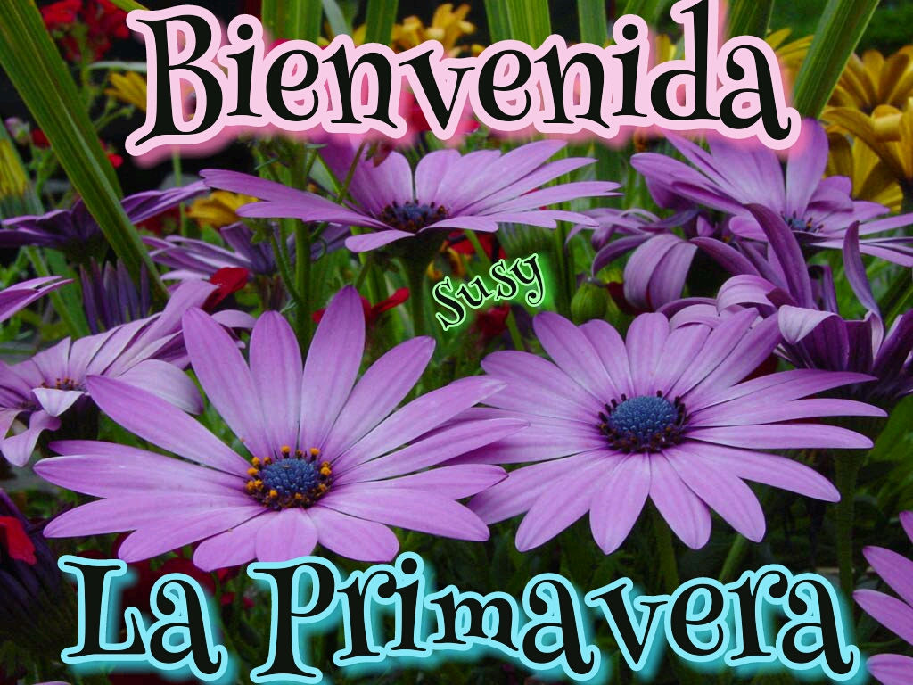 DILO CON FLORES Y TARJETAS: bienvenida primavera
