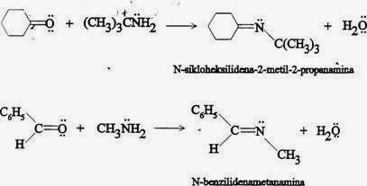 Reaksi Adisi Nukleofilik - My Experience
