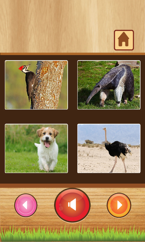 Animal sounds - App for kids - screenshot