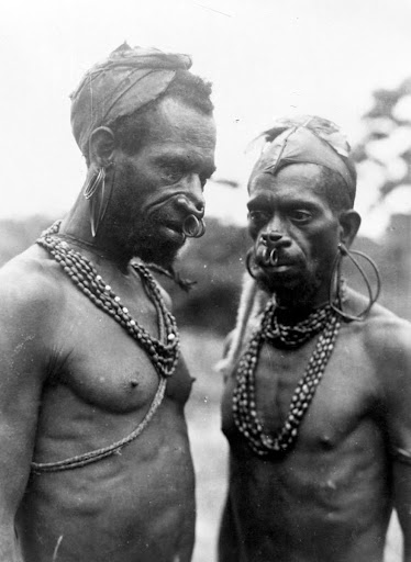 Portrait of two Papuan men from the upper Digul river region ...