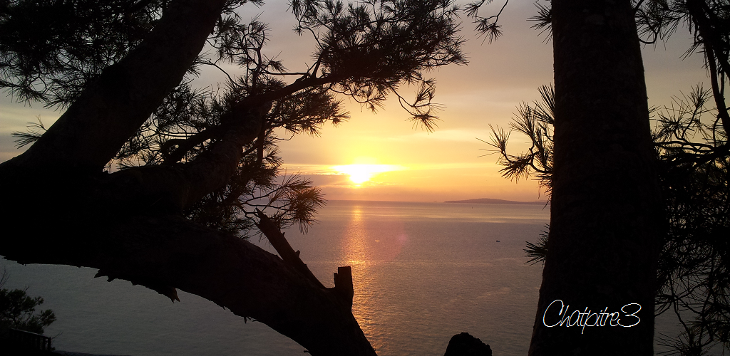 Barbu - cards game - Dernière Version 3.5 Pour Android App Entertainment