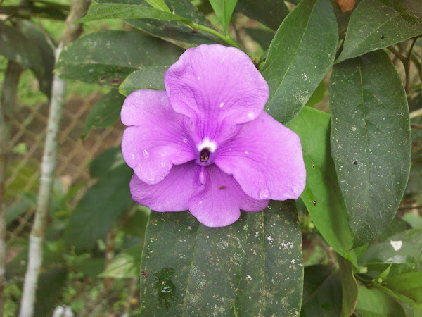 Yesterday today tomorrow | Project Noah