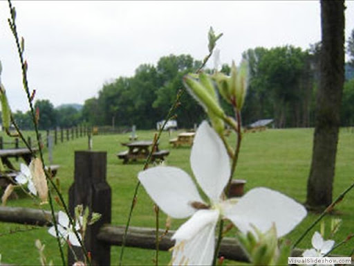 Kickapoo Stump Dodger Campground | BookYourSite