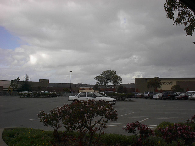 Field Trip - Hilltop Mall