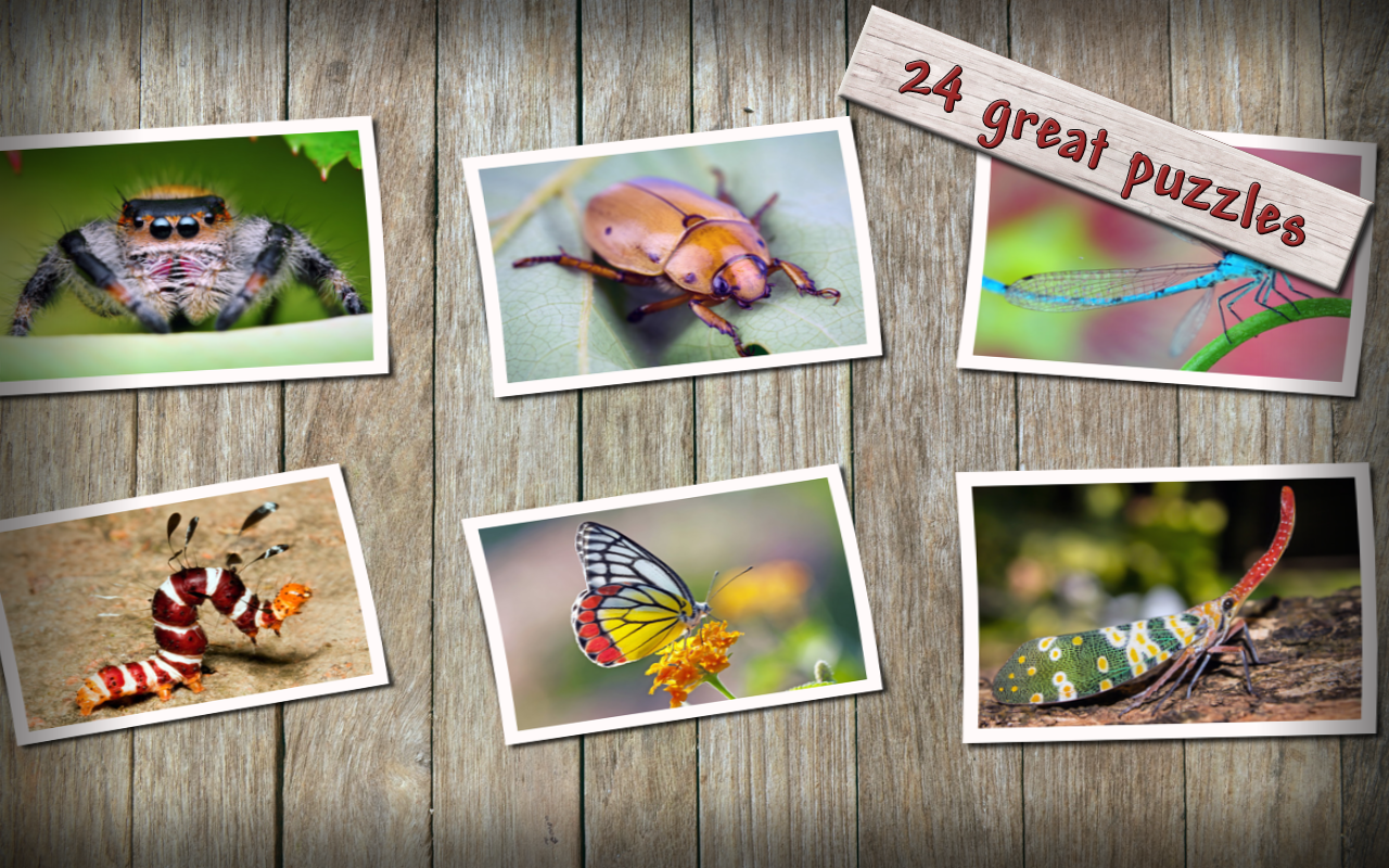 Kids Games Bugs Jigsaw Puzzles - Android Apps on Google Play