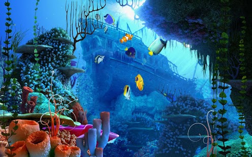 Acuarios marinos wallpaper - Imagui