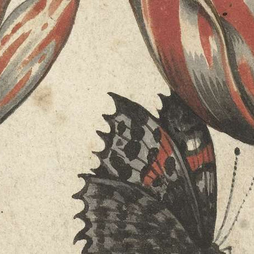 Flowers-Collected works of Elke Wagner - All Rijksstudio's ...