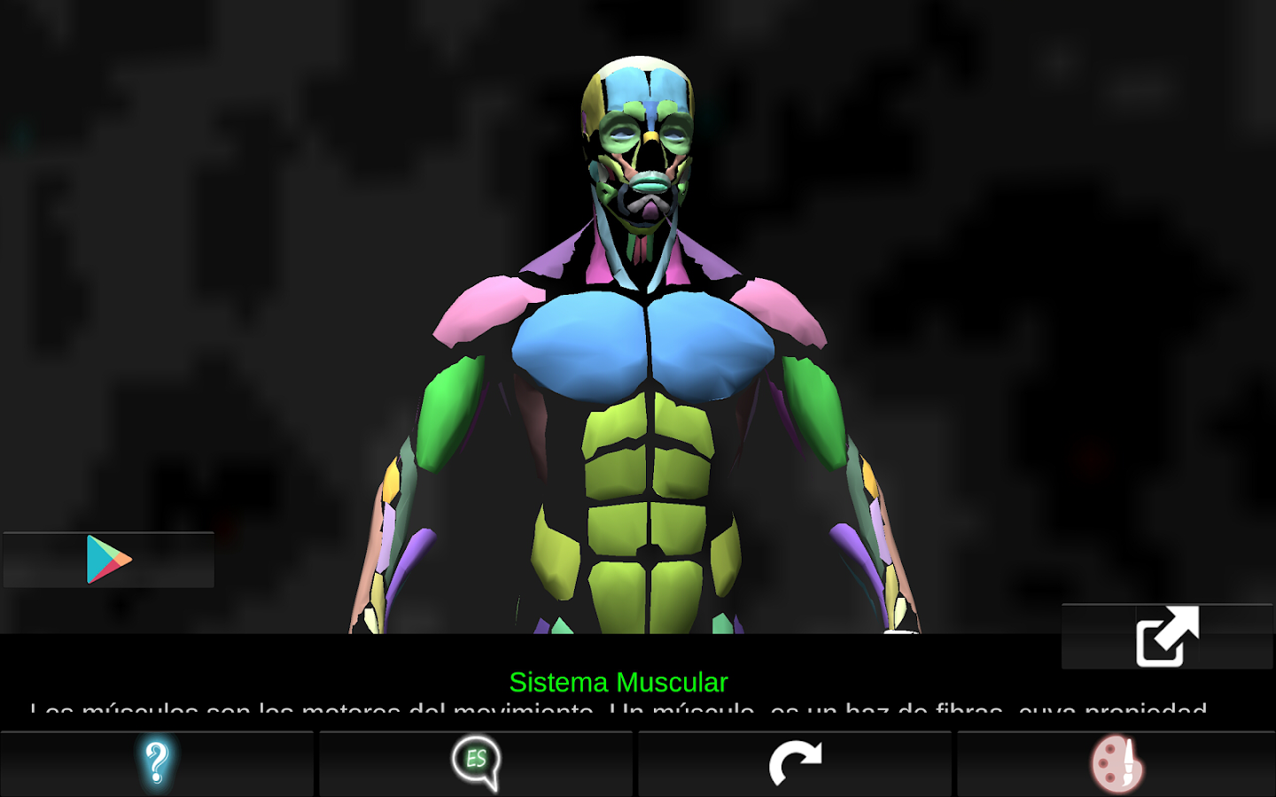 Sistema Muscular 3D (Anatomía) - Aplicaciones de Android en Google Play