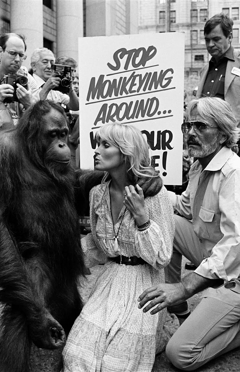 Bo Derek — Google Arts & Culture