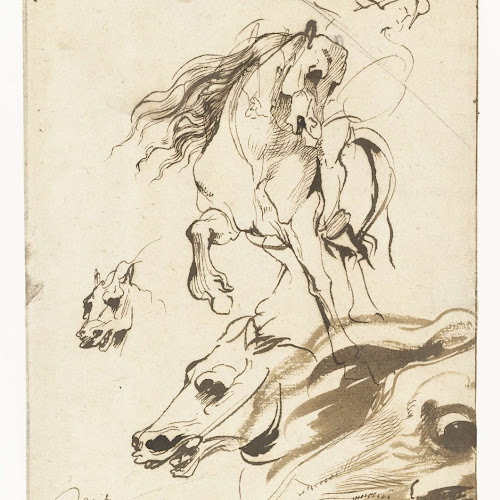 Studies of a Horseman and the Head of a Horse, Anthony van Dyck, c ...