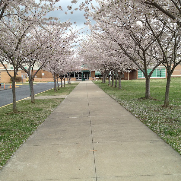 Salisbury Middle School Biodiversity | Project Noah
