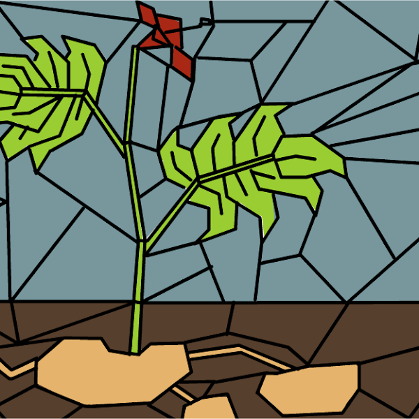 Solanum tuberosum » drawings » SketchPort