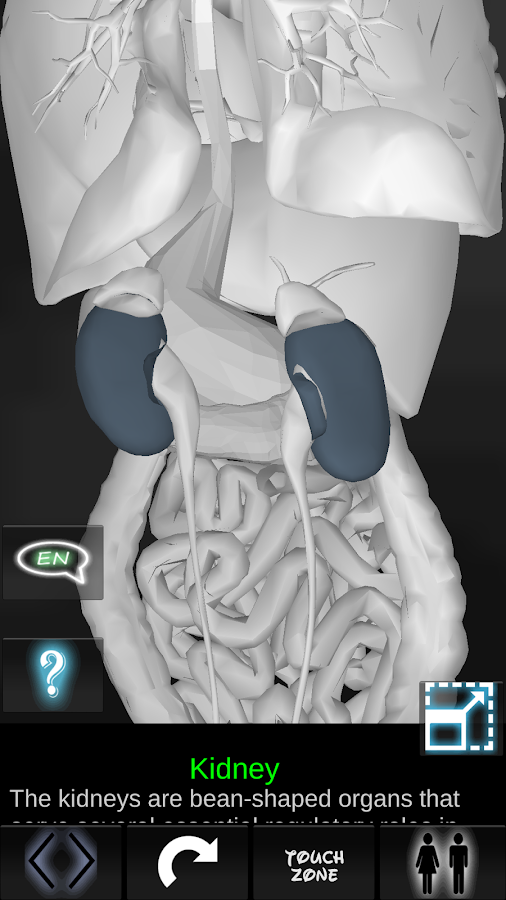 Organs 3D (Anatomy) - Android Apps on Google Play