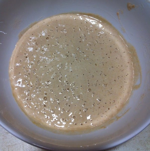 Sourdough bread Yeast | Project Noah