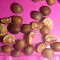 Mexican jumping bean | Project Noah