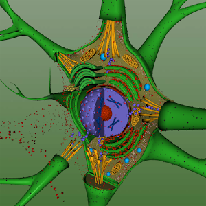 EON 3D Neuron Structure - Latest version 1.0.2 for Android App Education