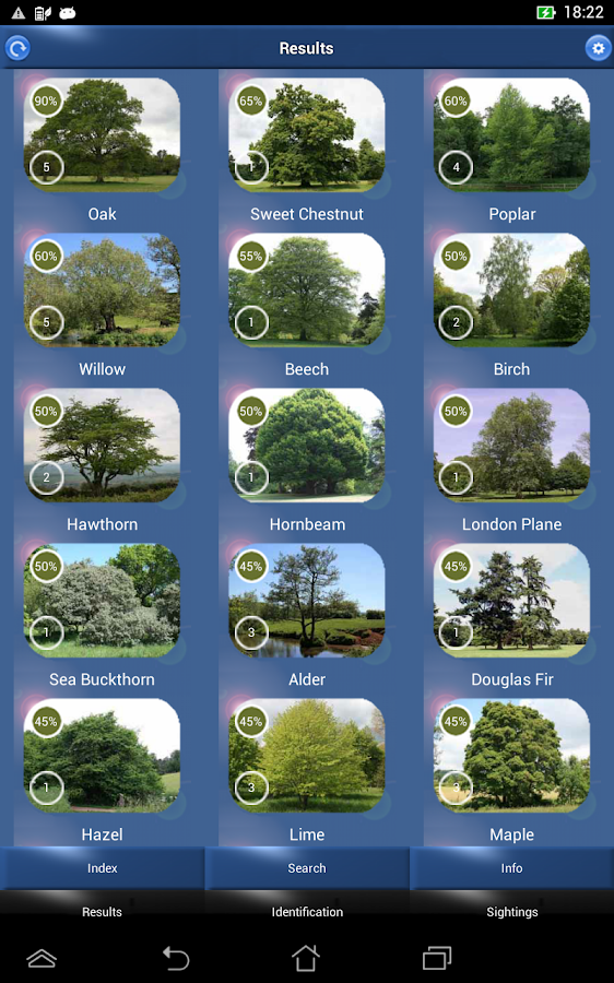 Best Tree Identification App Free 4 Best Apps To Help Identify Plants