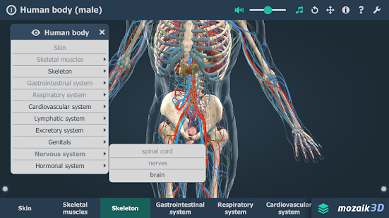Human body (male) educational VR 3D - Apps on Google Play