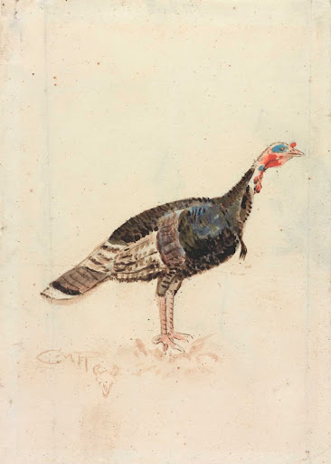 The Turkey - Charles M. Russell — Google Arts & Culture