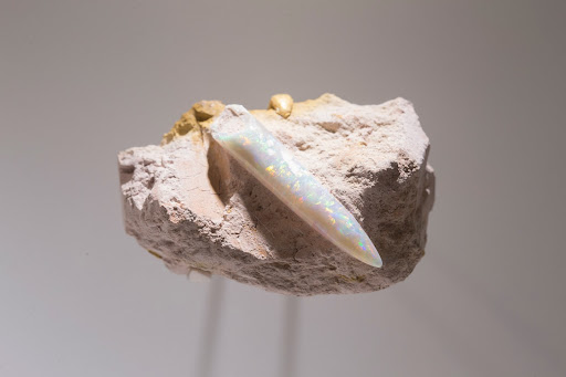 Belemnite, Opalized (Neohibolites sp.) — Google Arts & Culture