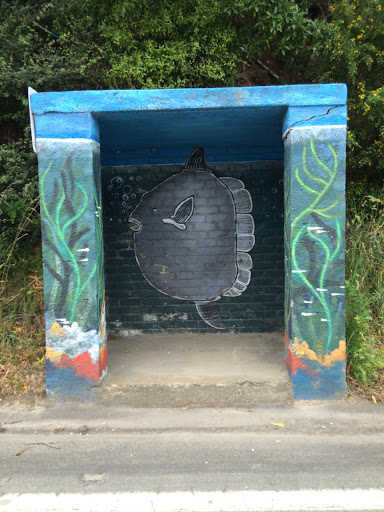 Fish Mural at Bus Stop Portal in Andersons Bay Otago New Zealand ...