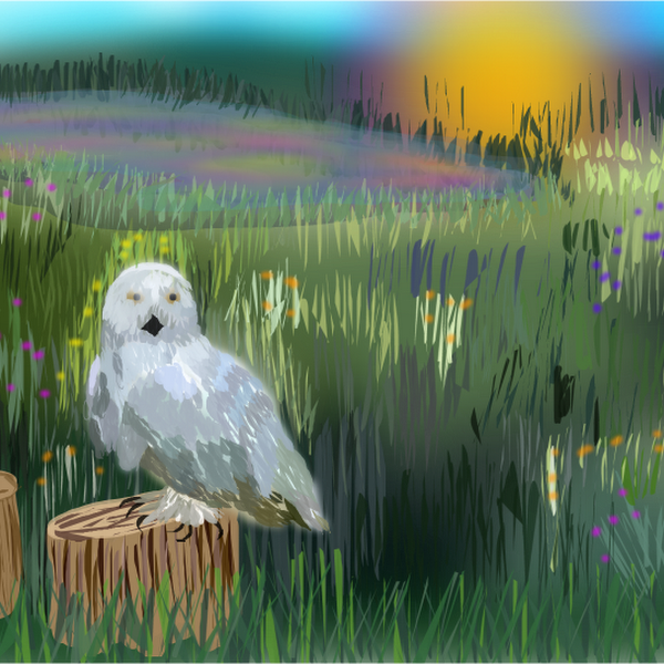 Meadow » drawings » SketchPort