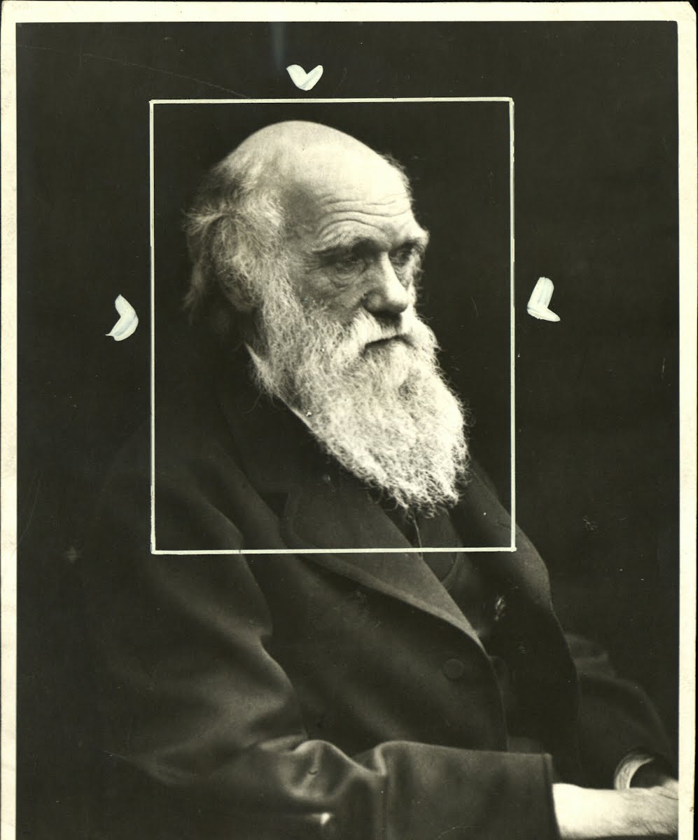 Charles Darwin — Google Arts & Culture