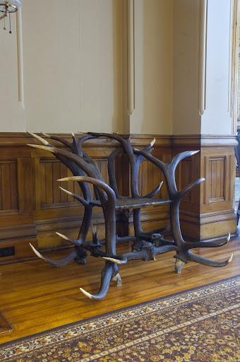 Hayes elkhorn chair - Kinman, Seth — Google Arts & Culture