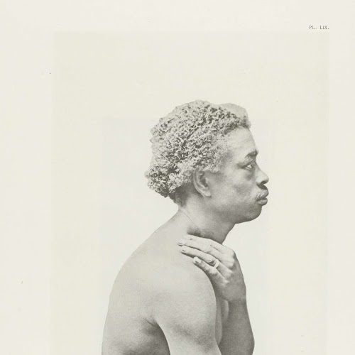 Portret van Richard Mazer, Friedrich Carel Hisgen, 1883 - 1884 ...