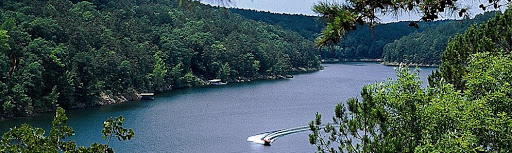 Daisy State Park | BookYourSite