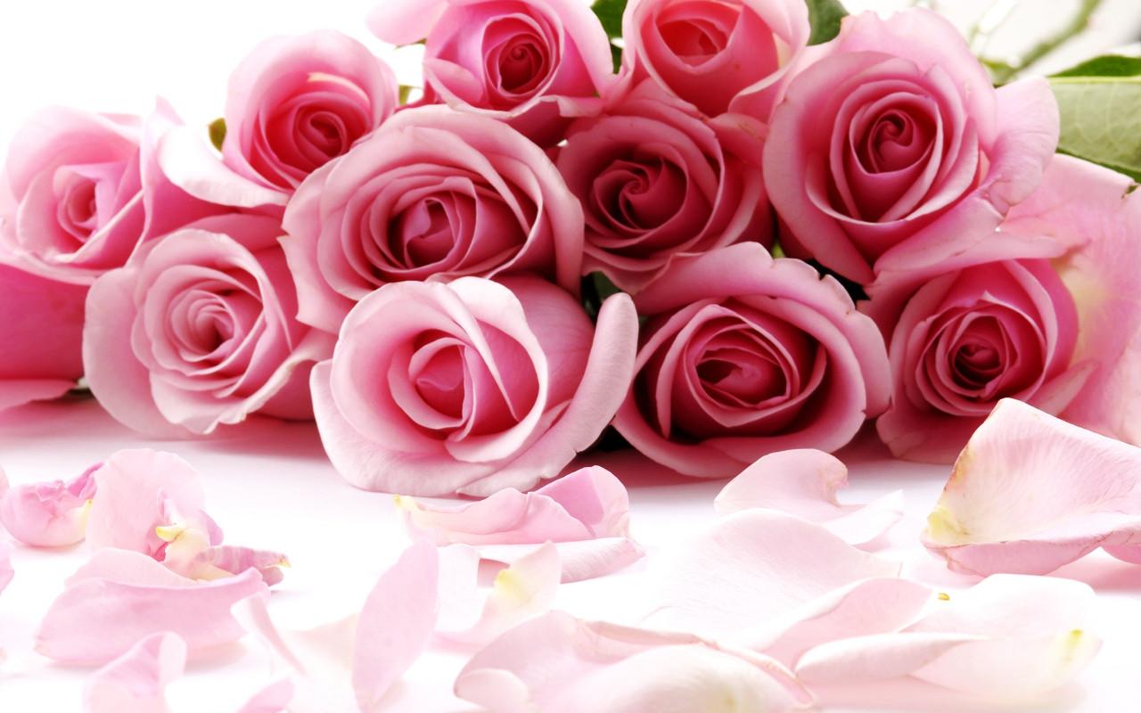 Roses Jigsaw Puzzles - Android Apps on Google Play