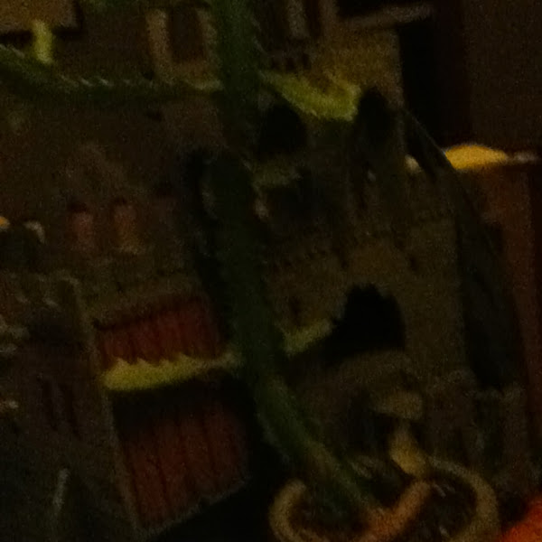 Cactus | Project Noah