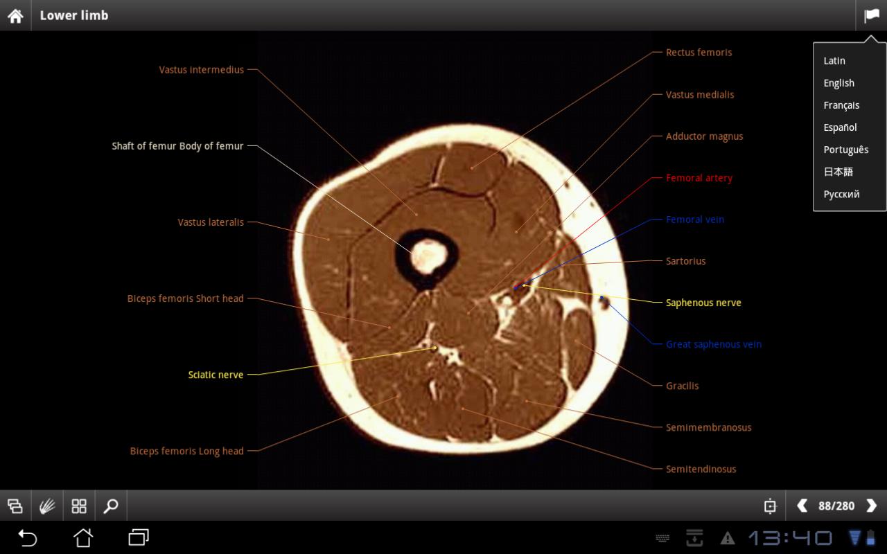IMAIOS e-Anatomy - Android Apps on Google Play