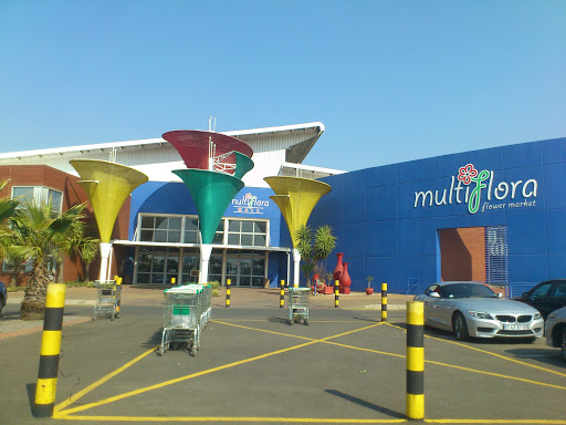 Multiflora Flower Market Johannesburg 2000 | Best Flower Site