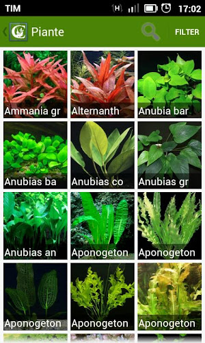 Fixed Plants Names
