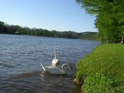 RV Parky | RV Parks & Campgrounds Directory, Reviews, Photos