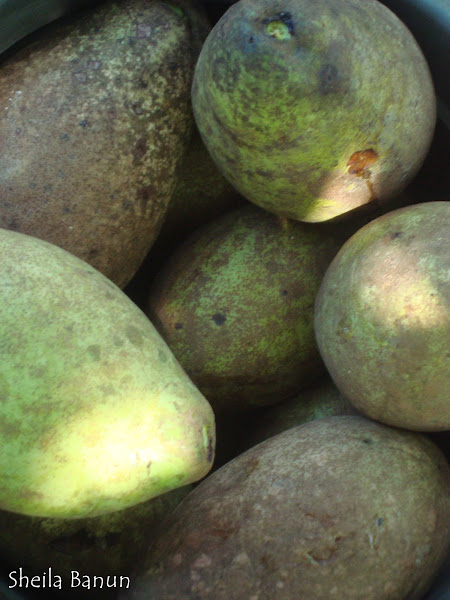 Wanyi | Project Noah