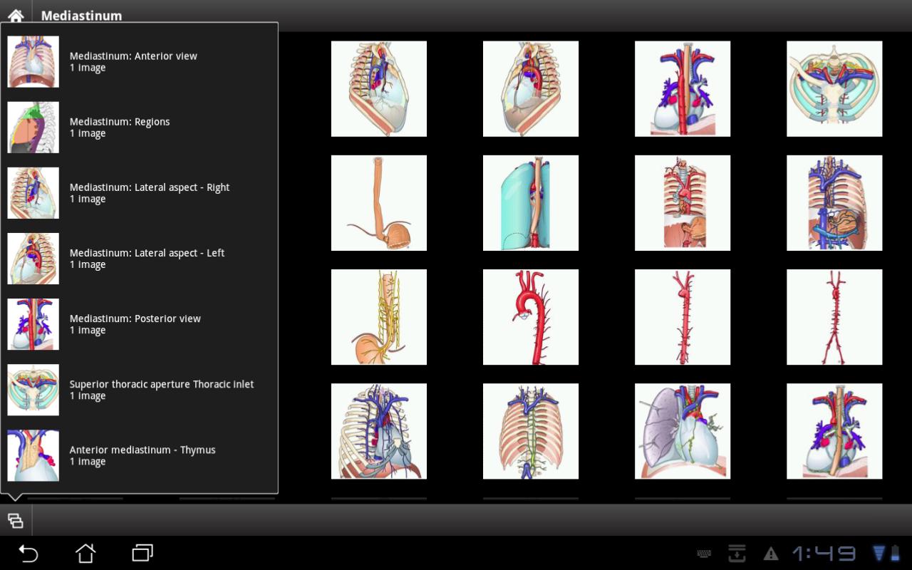IMAIOS e-Anatomy – Apps para Android no Google Play